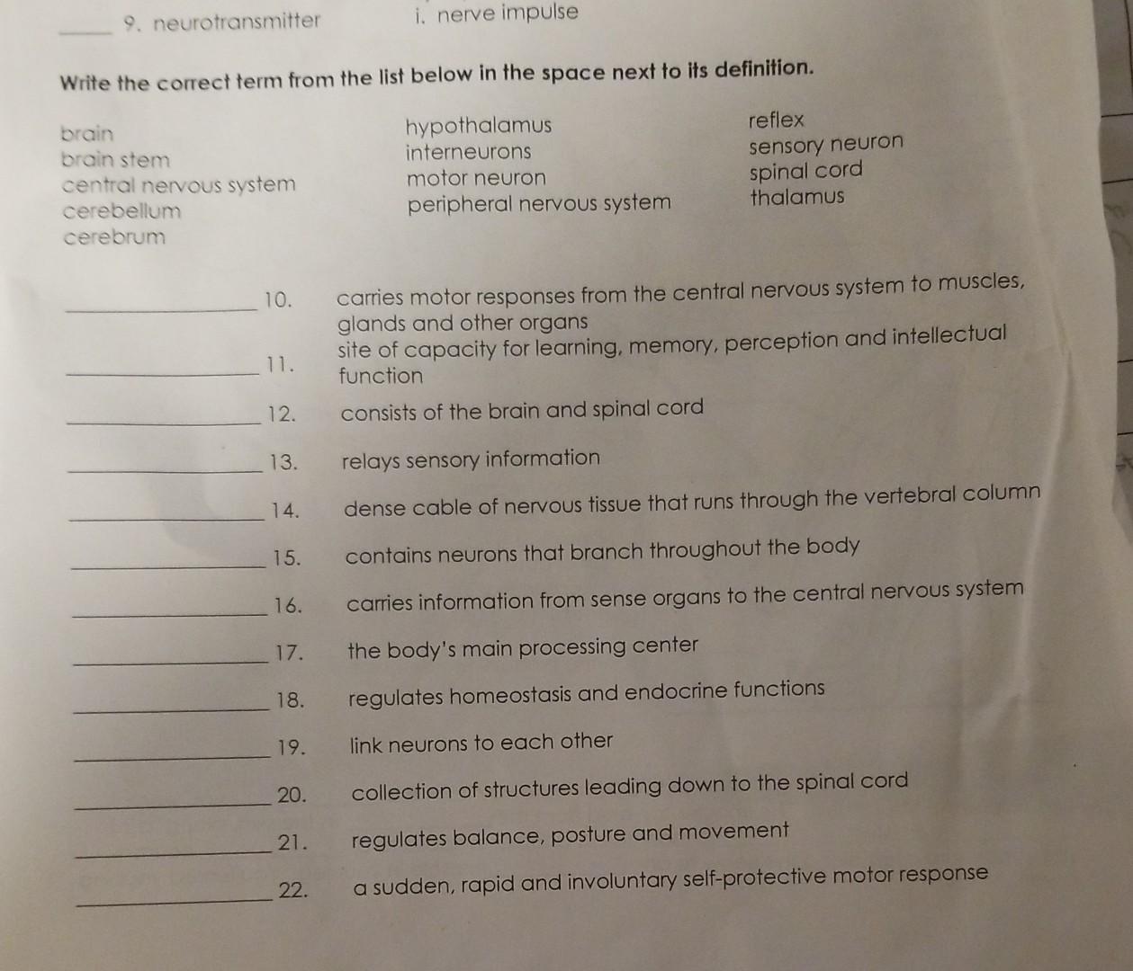 Solved 9. neurotransmitter Write the correct term from the | Chegg.com
