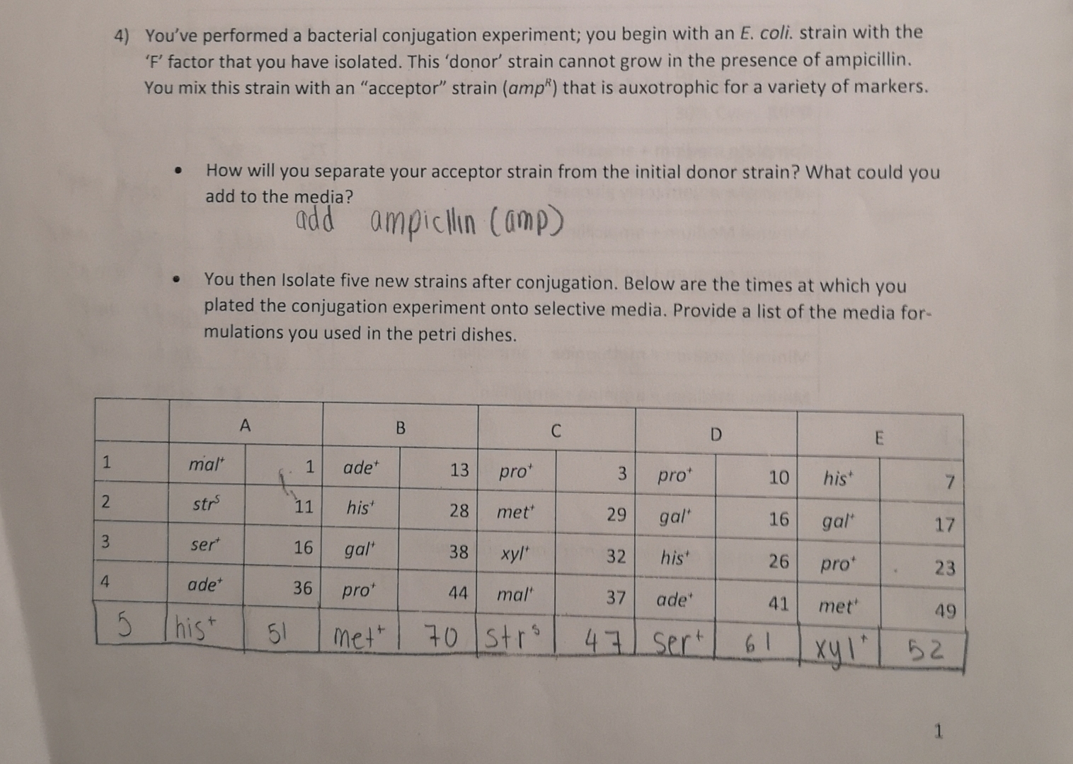 Solved You've performed a bacterial conjugation experiment; | Chegg.com