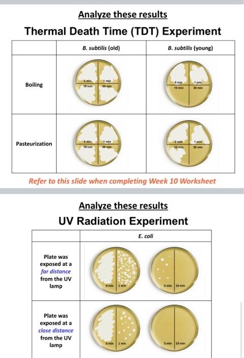 Week 10 Worksheet Control of Microbial Growth: | Chegg.com