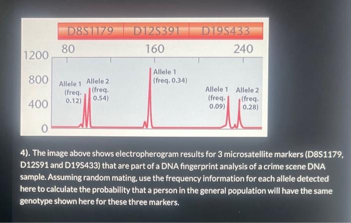 4). The image above shows electropherogram results | Chegg.com