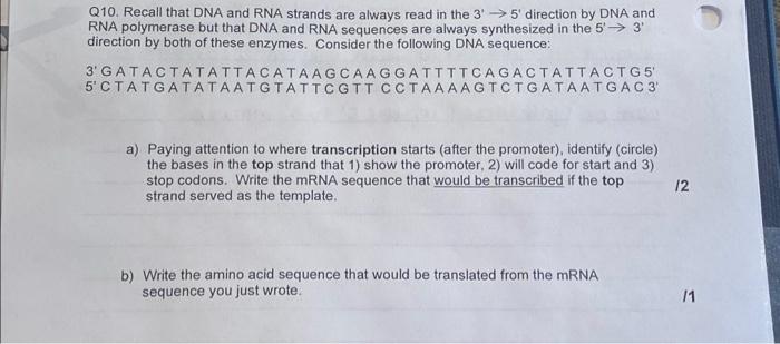 Solved Q10. Recall that DNA and RNA strands are always read | Chegg.com