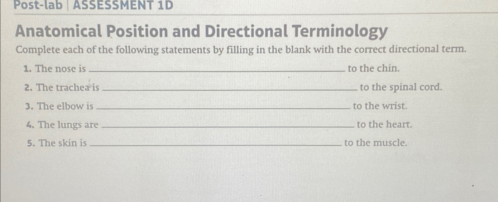 Solved Post-lab ASSESSMENT 1DAnatomical Position and | Chegg.com