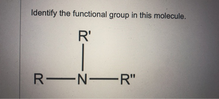Solved Identify the functional group in this molecule. R' | Chegg.com