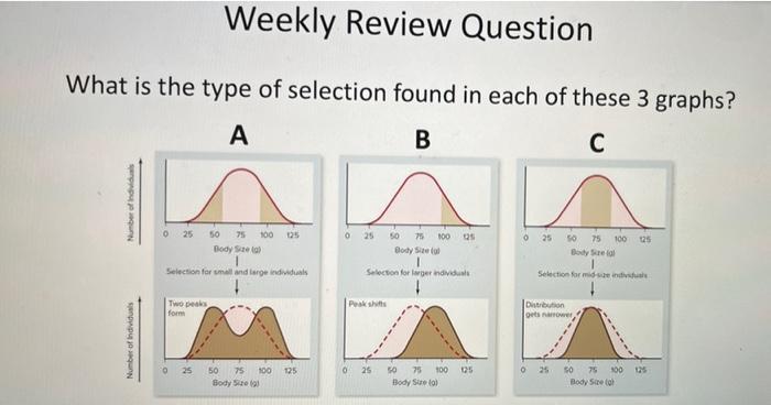 Solved Weekly Review Question What is the type of selection | Chegg.com
