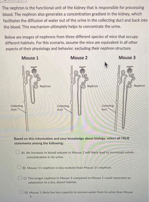 Solved The nephron is the functional unit of the kidney that | Chegg.com