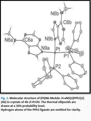 N7 N1 PI N6 IN6 FEE *** Fig. 1. Calculated molecular | Chegg.com
