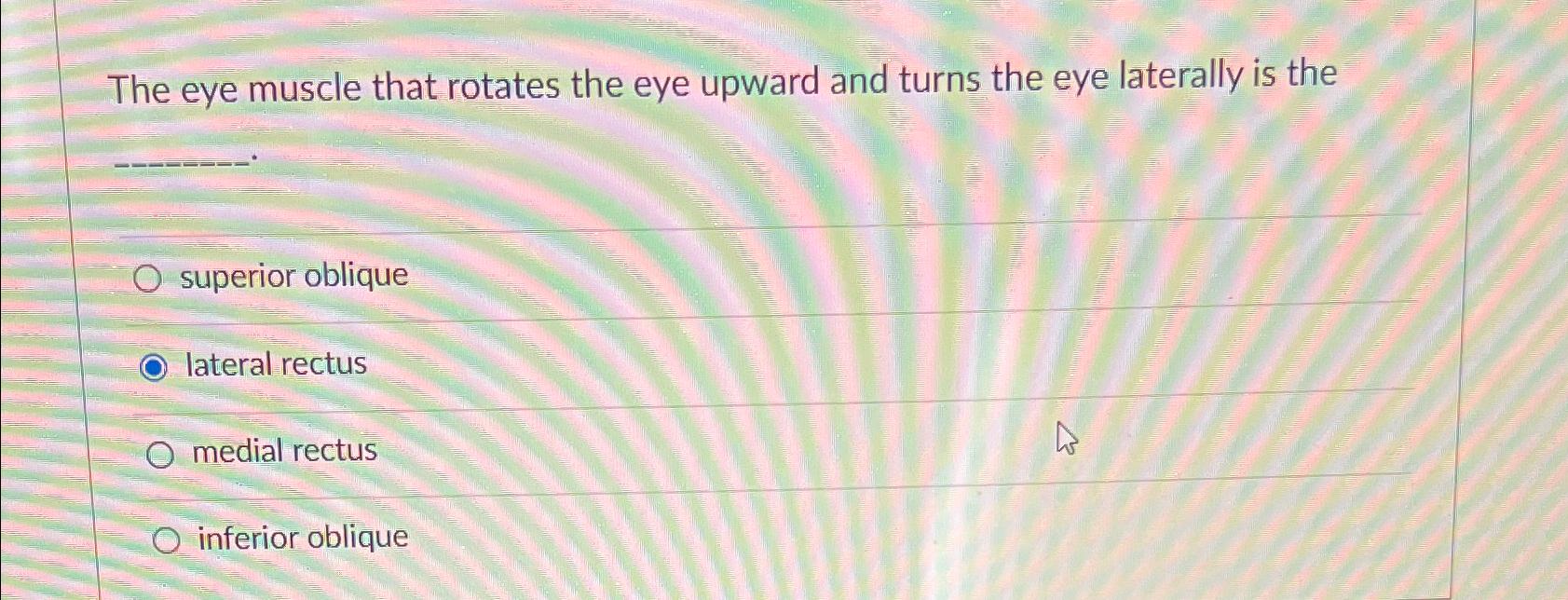 Solved The eye muscle that rotates the eye upward and turns | Chegg.com