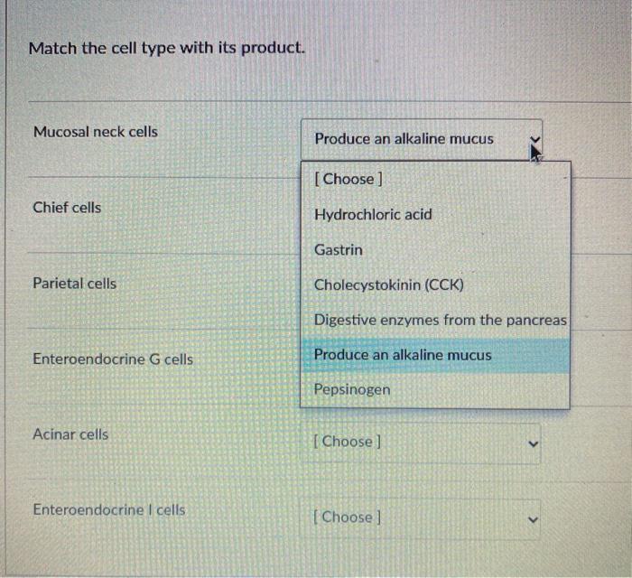 Solved Match the cell type with its product. Mucosal neck | Chegg.com