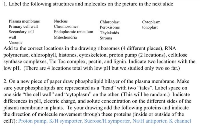 Solved 1. Label the following structures and molecules on | Chegg.com