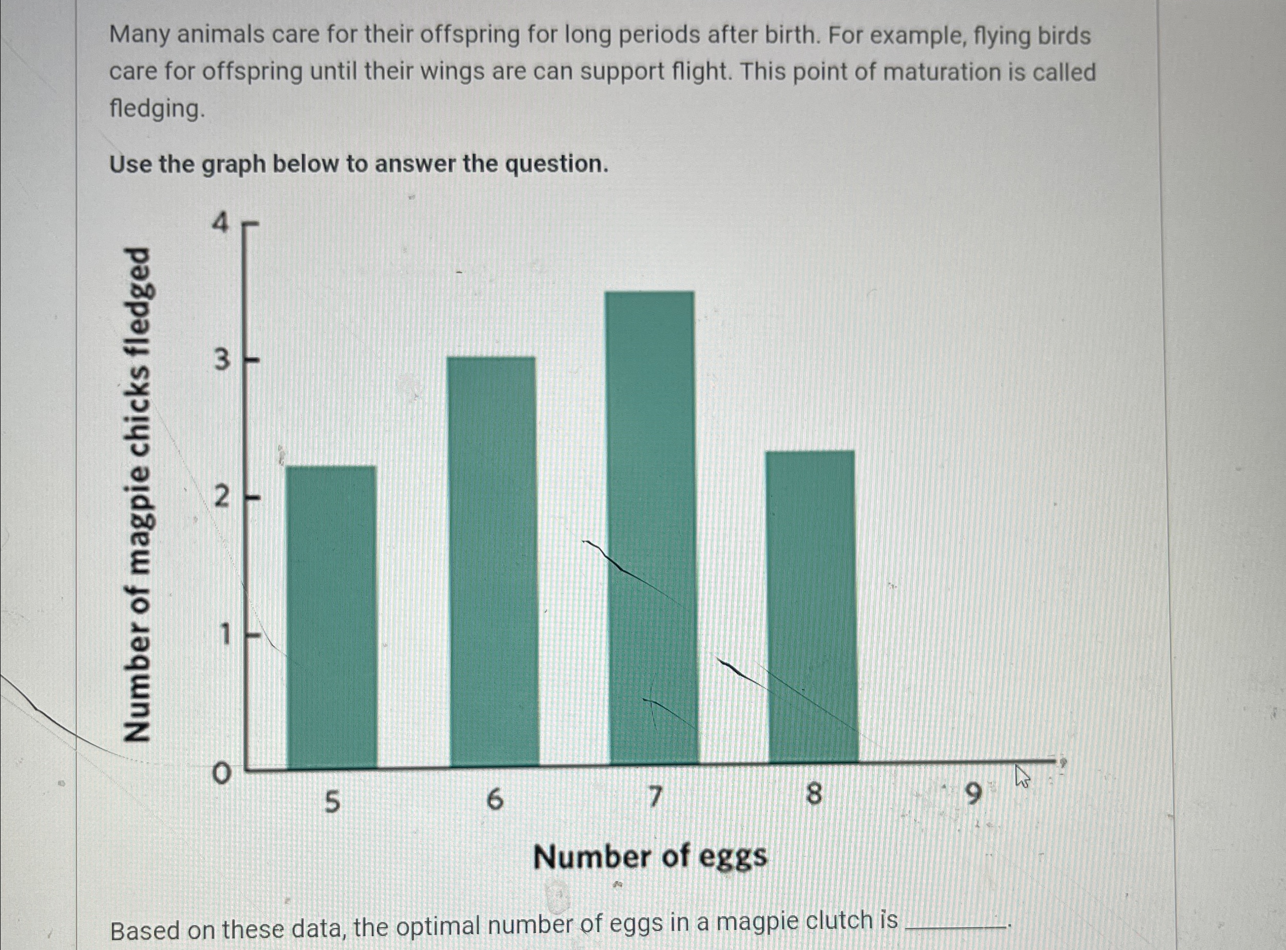 Solved Many animals care for their offspring for long | Chegg.com