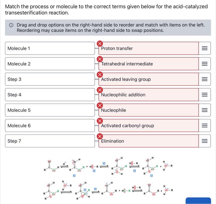 Solved Match the process or molecule to the correct terms | Chegg.com