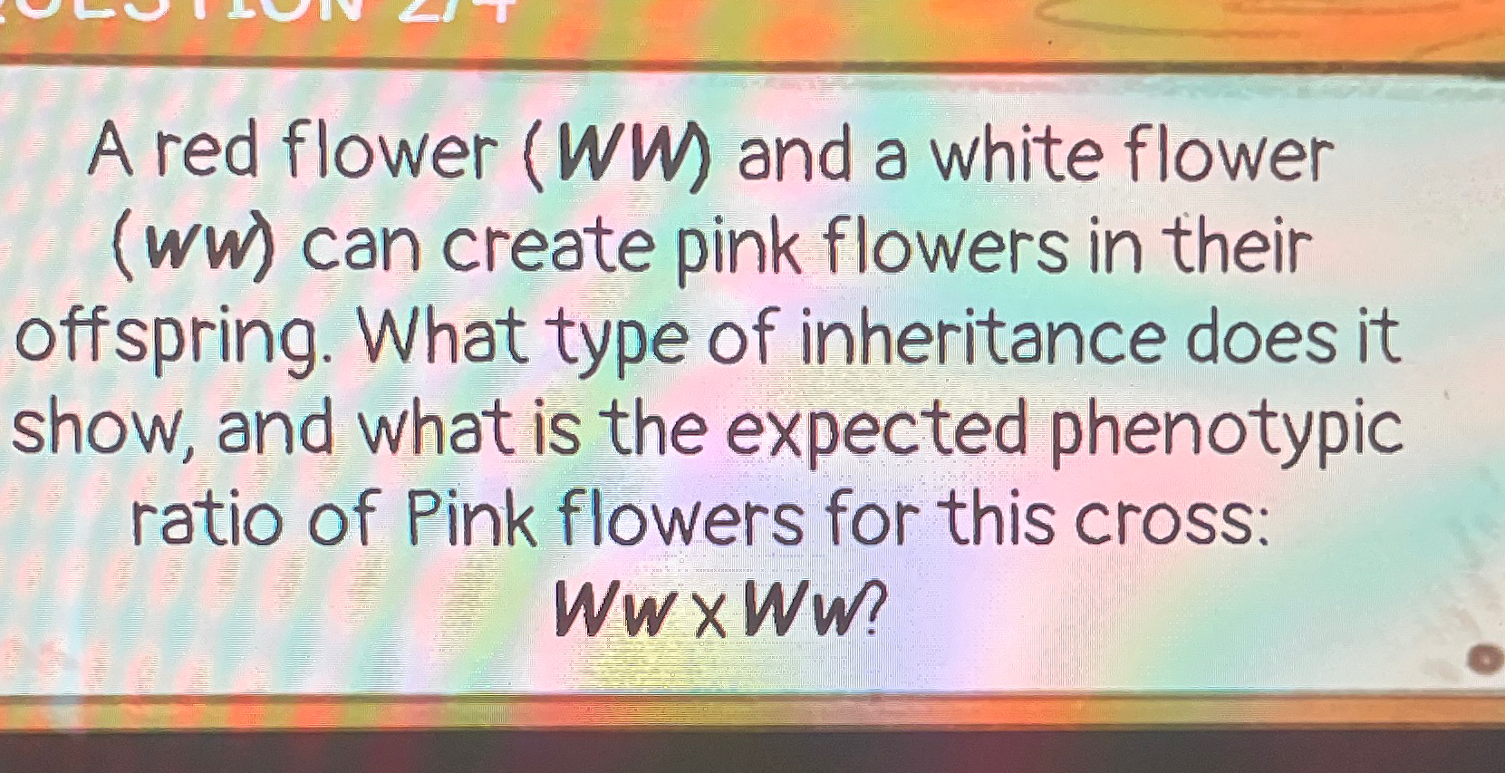 Solved A red flower (WW) ﻿and a white flower (ww) ﻿can | Chegg.com