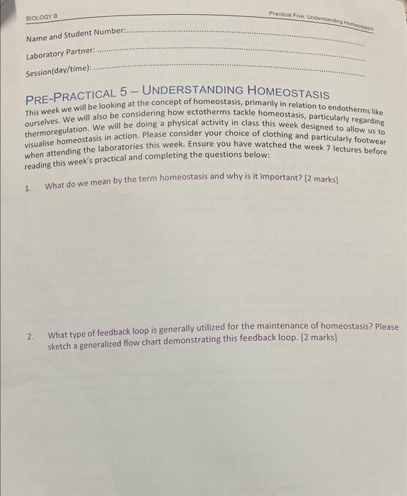 PRE-PRACTCAL 5 - UNOERSTANDENG | Chegg.com