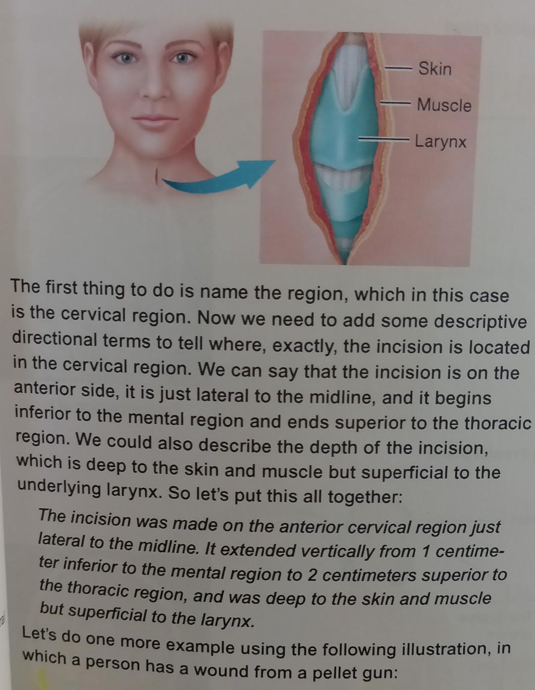 Solved Please explain how is the incision lateral to the | Chegg.com