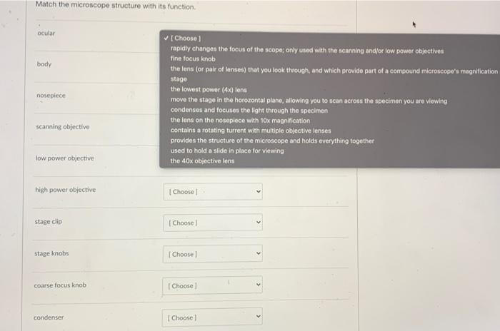 Solved Match the microscope structure with its function | Chegg.com