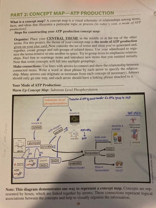 PART 2: CONCEPT MAP-ATP PRODUCTION What is a concept | Chegg.com