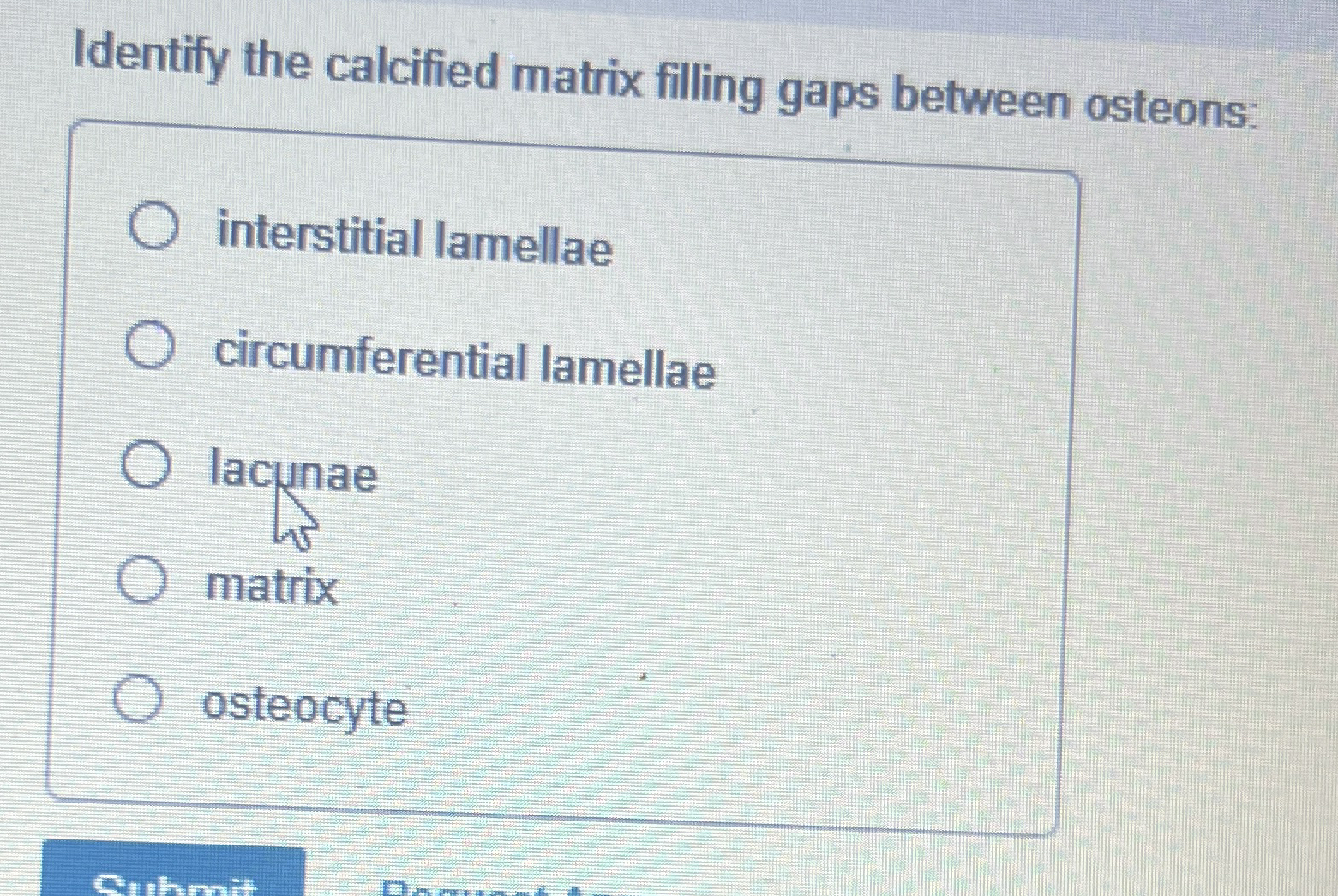 Solved Identify the calcified matrix filling gaps between | Chegg.com