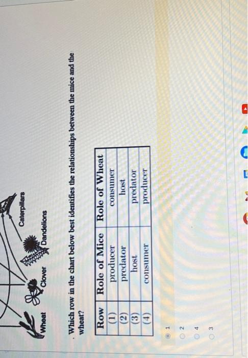 Solved Which row in the chart below best identifies the | Chegg.com