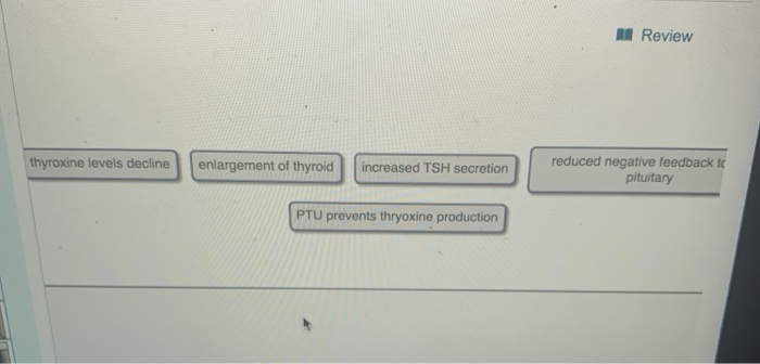 Solved recall the effects of propylrhiouracil (PTU) | Chegg.com