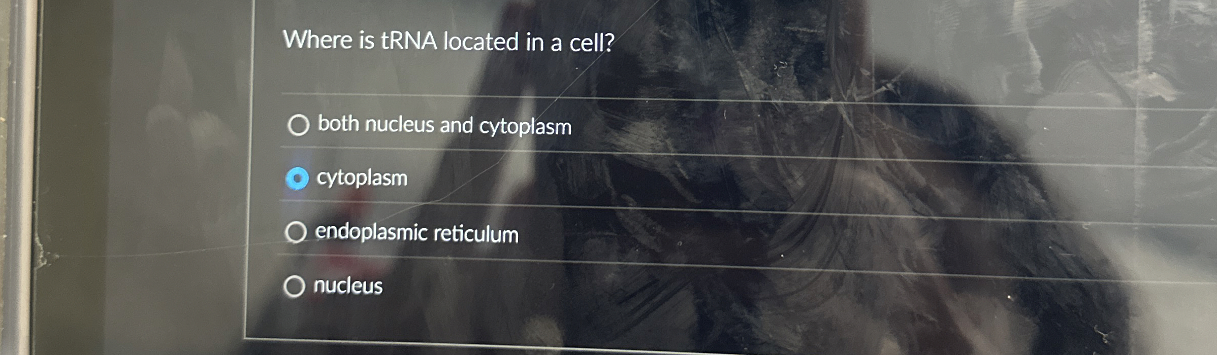 Solved Where is tRNA located in a cell?both nucleus and | Chegg.com