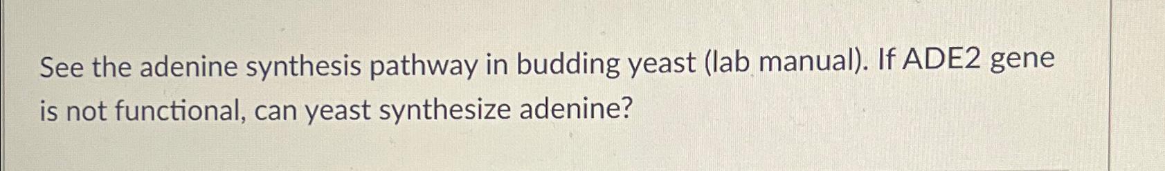 Solved See the adenine synthesis pathway in budding yeast | Chegg.com