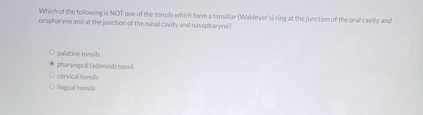 Solved The parotid, buccal, and submandibular lymph nodes | Chegg.com