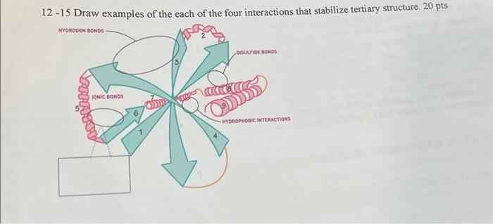 Solved 12 - 15 Draw examples of the each of the four | Chegg.com