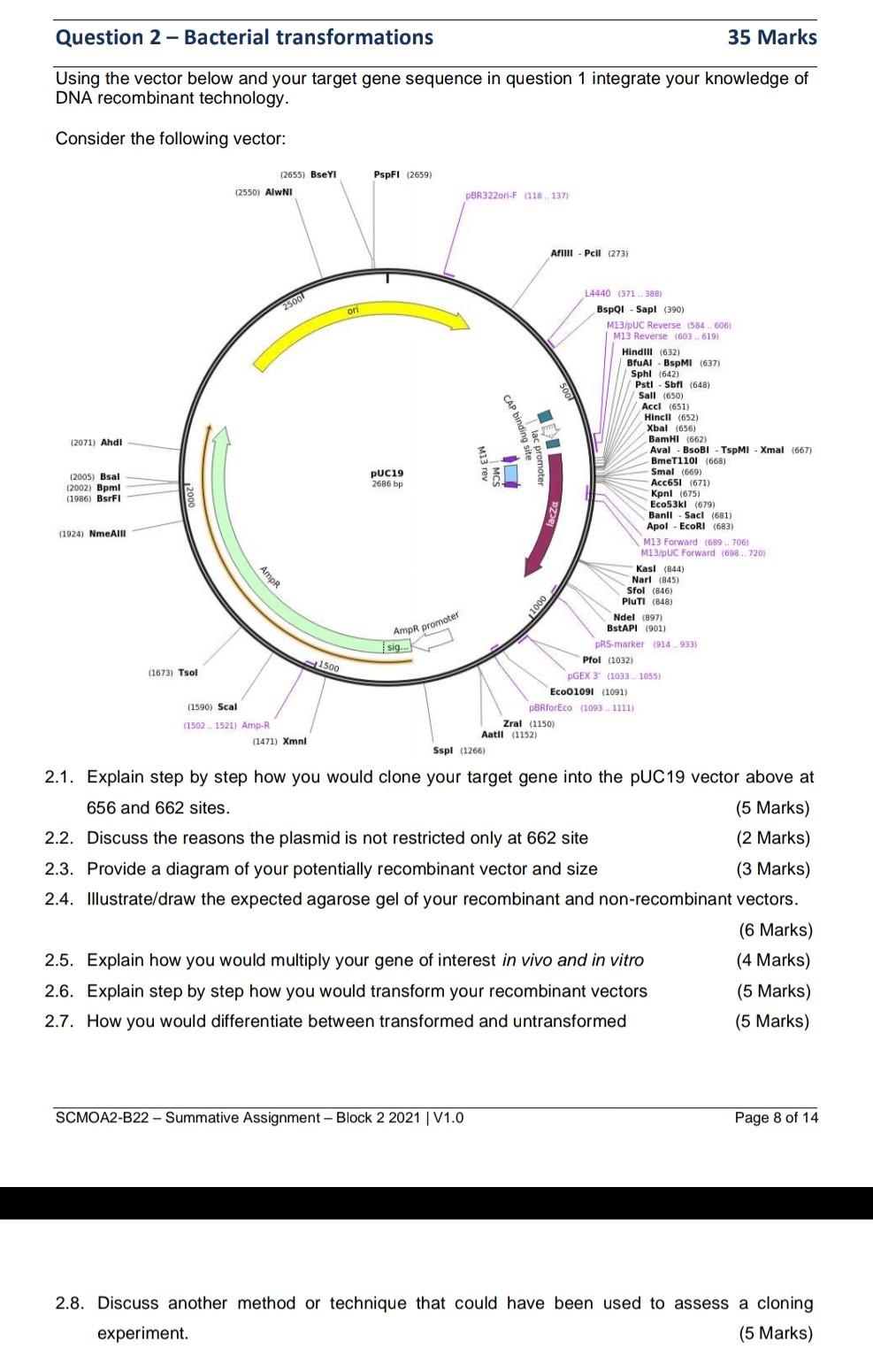 Solved the target gene is STRC gene the target gene is | Chegg.com