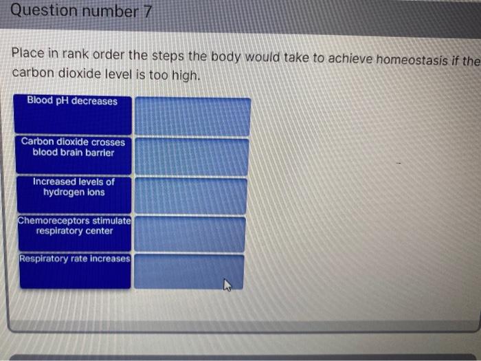 Solved Question number 7 Place in rank order the steps the | Chegg.com