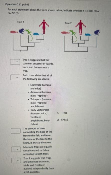Solved For each statement about the trees shown below, | Chegg.com
