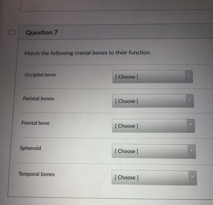 Solved 2 Figure 6-2 Endochondral Ossification Use Figure 6-2 | Chegg.com Solved 2 Figure 6-2 Endochondral Ossification Use Figure 6-2 | Chegg.com
