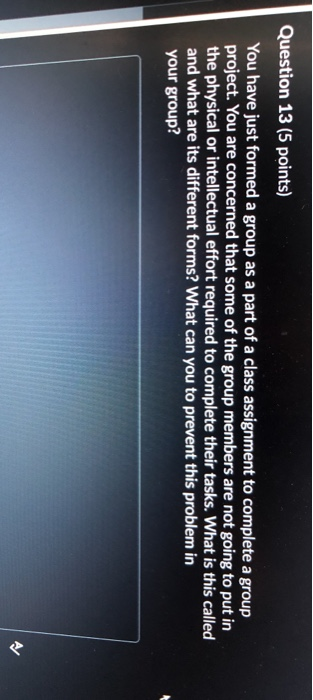 Solved Question 13 (5 points) You have just formed a group | Chegg.com