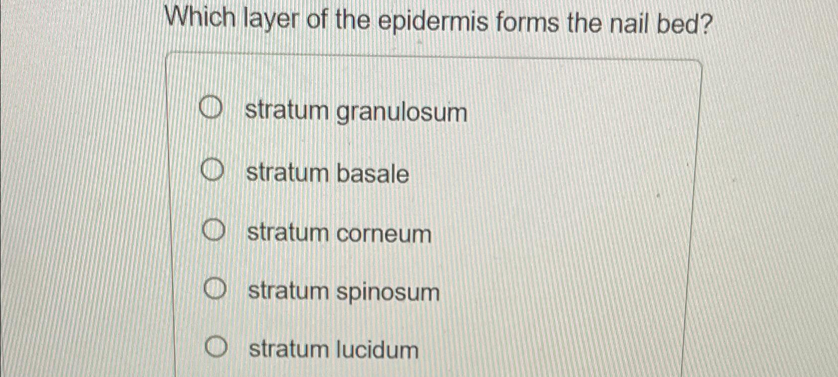 Solved Which layer of the epidermis forms the nail | Chegg.com