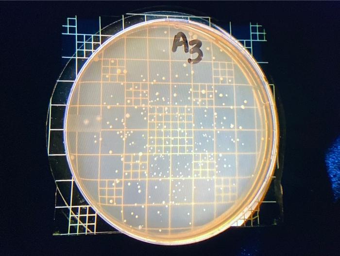 Solved Table 12-2. Ames test results for Salmonella Record | Chegg.com