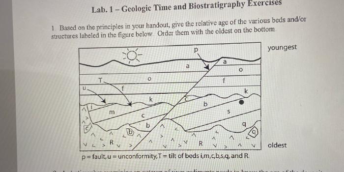 Solved Lab. 1 - Geologie Time and Biostratigraphy Exercises | Chegg.com