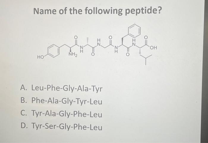Solved Name the followinf peptide. please explain how to | Chegg.com