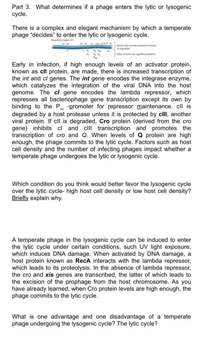 Solved Part 1 Labeling the parts of a bacteriophage | Chegg.com
