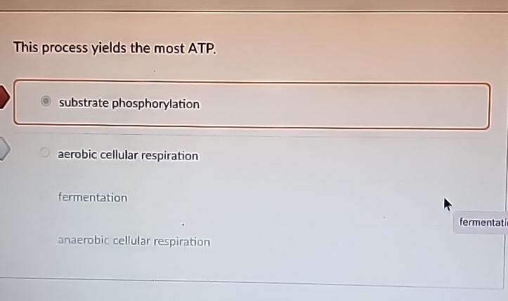 Solved This process yields the most ATP.substrate | Chegg.com