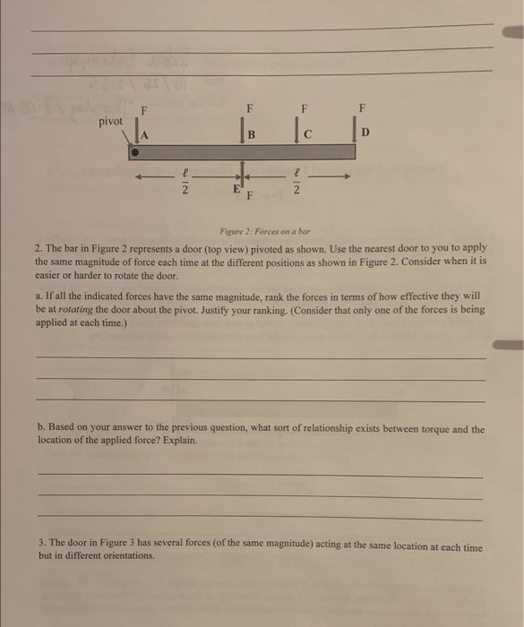 Solved Torque and Rotational Equilibrium (Human Arm | Chegg.com