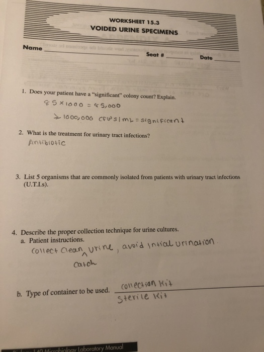 Solved WORKSHEET 15.3 VOIDED URINE SPECIMENS Name to Seat | Chegg.com