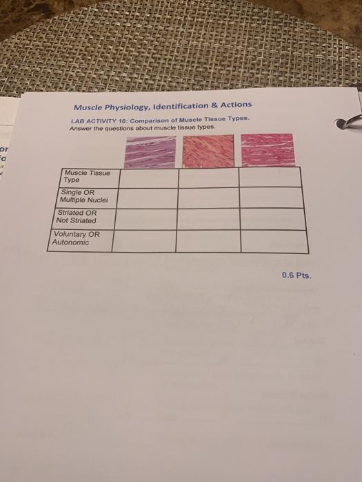 Solved Muscle Physiology, Identification & Actions LAB | Chegg.com