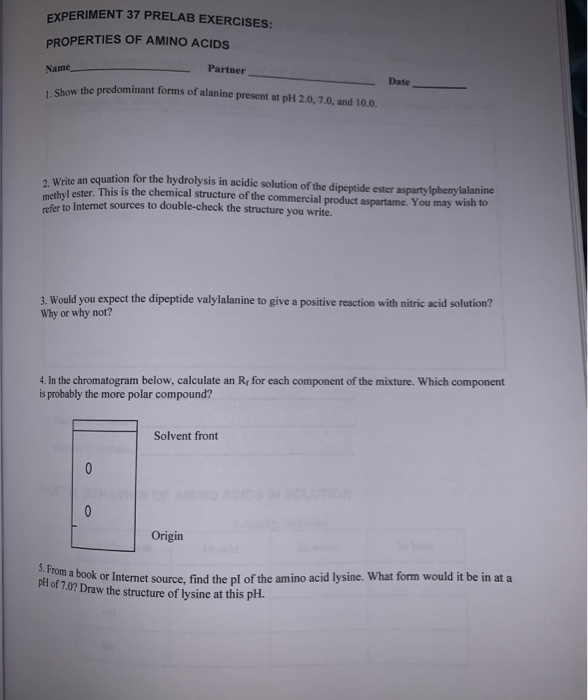 Solved EXPERIMENT 37 PRELAB EXERCISES: PROPERTIES OF AMINO | Chegg.com