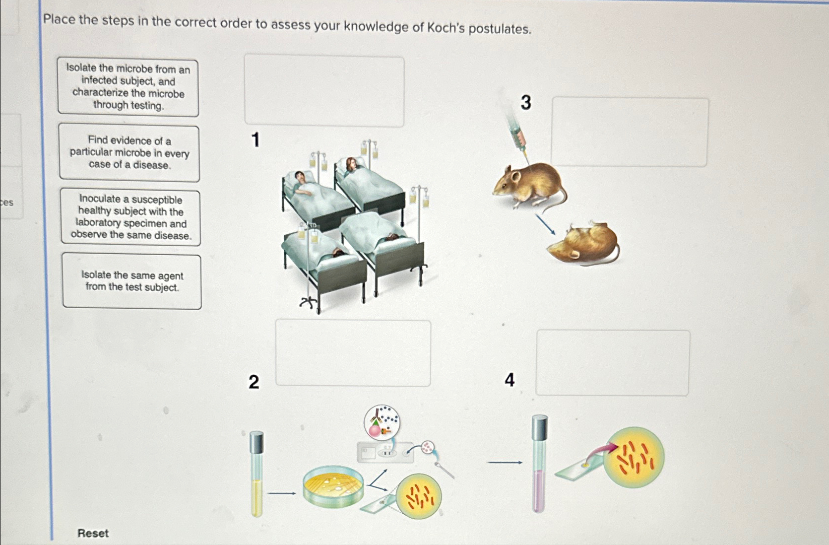 Solved Place the steps in the correct order to assess your | Chegg.com