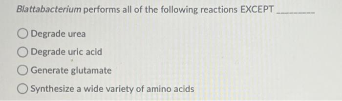 Solved Blattabacterium performs all of the following | Chegg.com