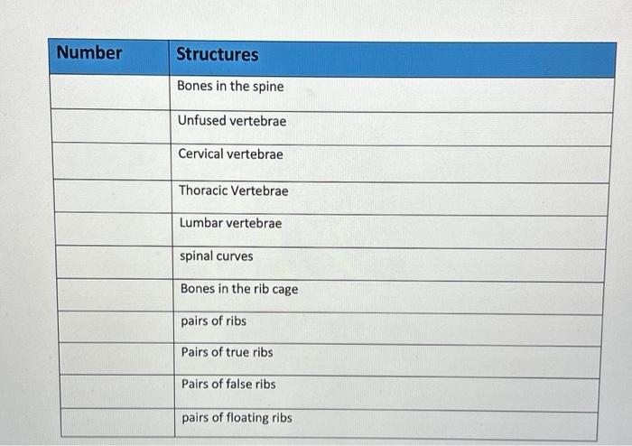 Solved \begin{tabular}{|l|l|} \hline Number & Structures \\ | Chegg.com