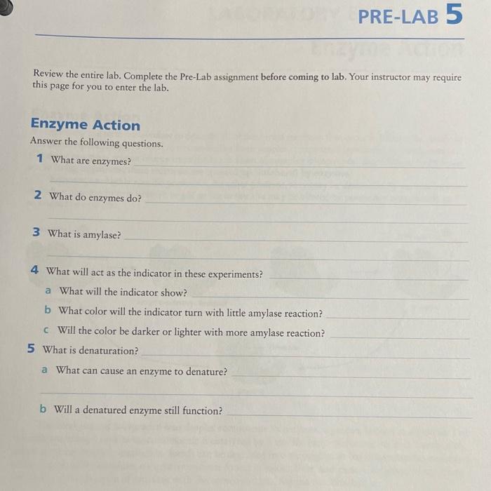 Solved PRE-LAB 5 Review the entire lab. Complete the Pre-Lab | Chegg.com