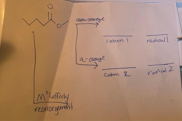 Solved show mechanisms and steps for ms fragmentation alpha | Chegg.com