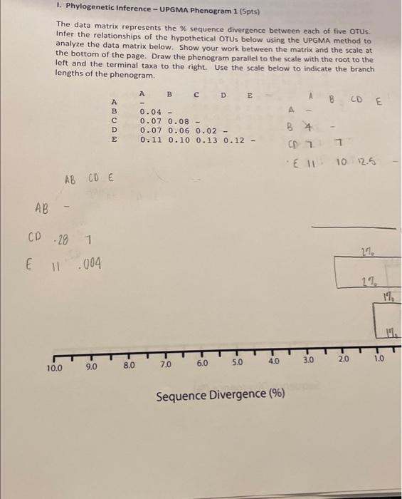 1. Phylogenetic Inference - UPGMA Phenogram 1 (5pts) | Chegg.com