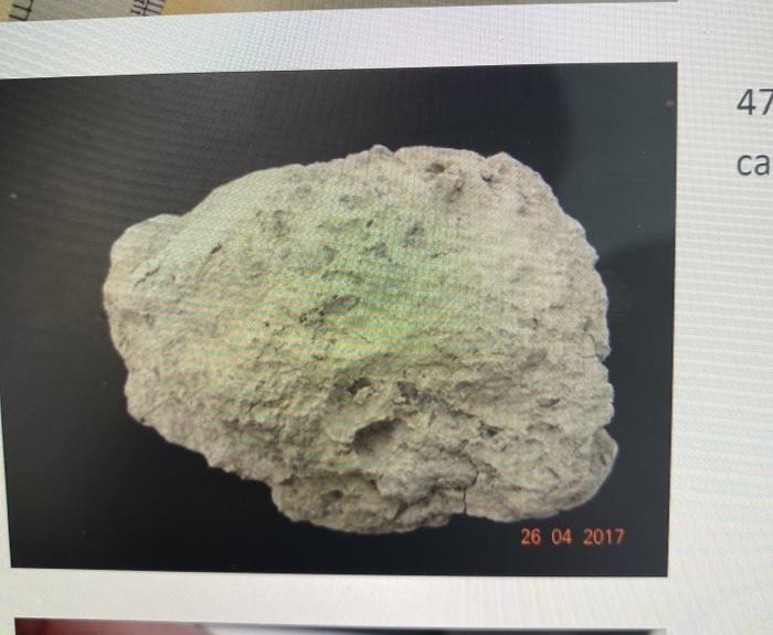 Solved 47. This specimen has some fossils and effervesces in | Chegg.com