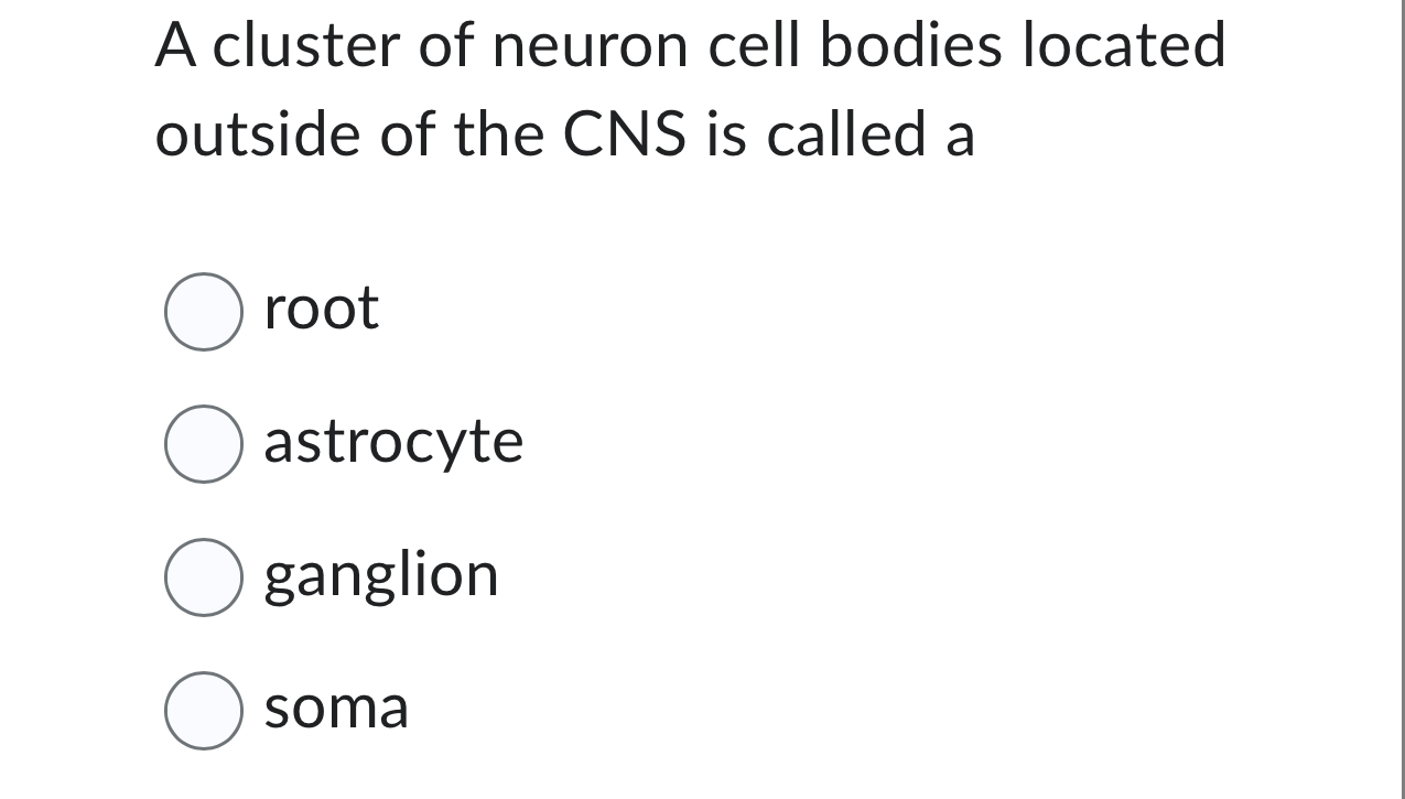 Solved A cluster of neuron cell bodies locatedoutside of the | Chegg.com